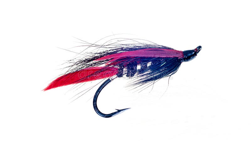 Fluffy Fly Fishing Hook Isolated on White Stock Image - Image of hackle ...