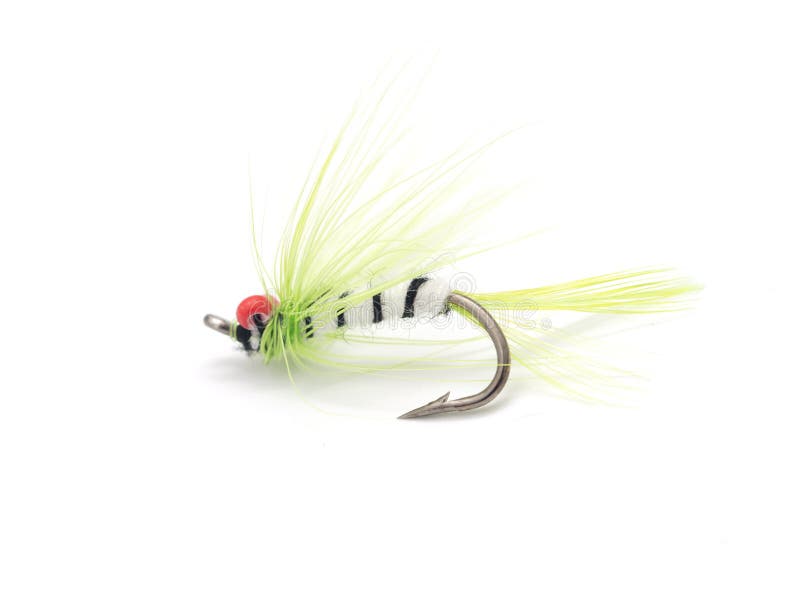 Fluffy Fly Fishing Hook Isolated on White Stock Photo - Image of ...