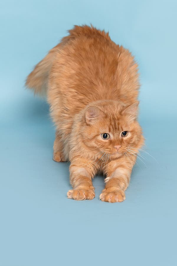 Webkatrin - Photographer profile