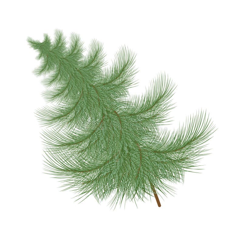 Fluffy Green Christmas Tree Tilted To the Side Stock Vector ...