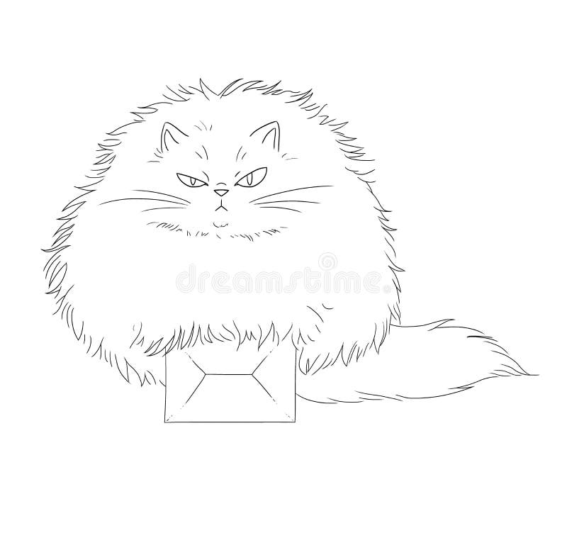 Fluffy Grumpy Cat in a Small Box (Black and White Line Art) Stock ...