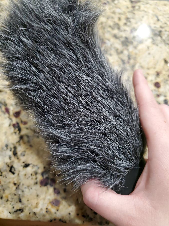 697 Fluffy Microphone Stock Photos - Free & Royalty-Free Stock Photos ...