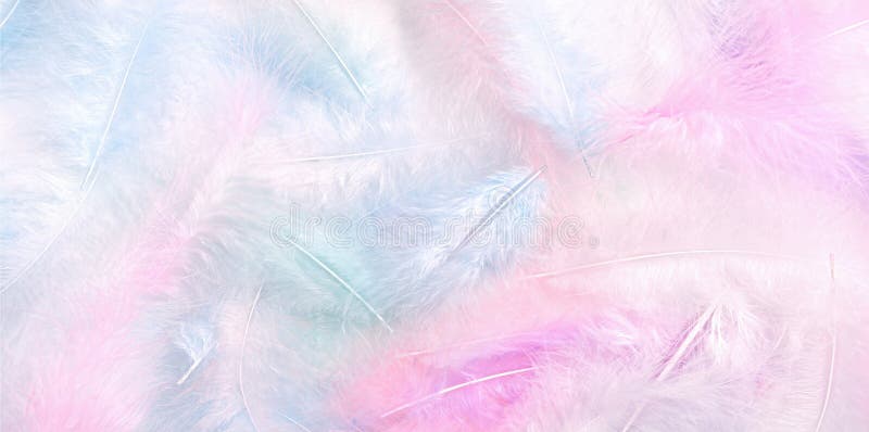 Fluffy Multicolored Bird Feathers. the Texture of the Feathers Stock ...