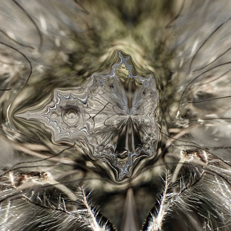 Fluffy Plant Micro Closeup Abstract Background Stock Illustration ...