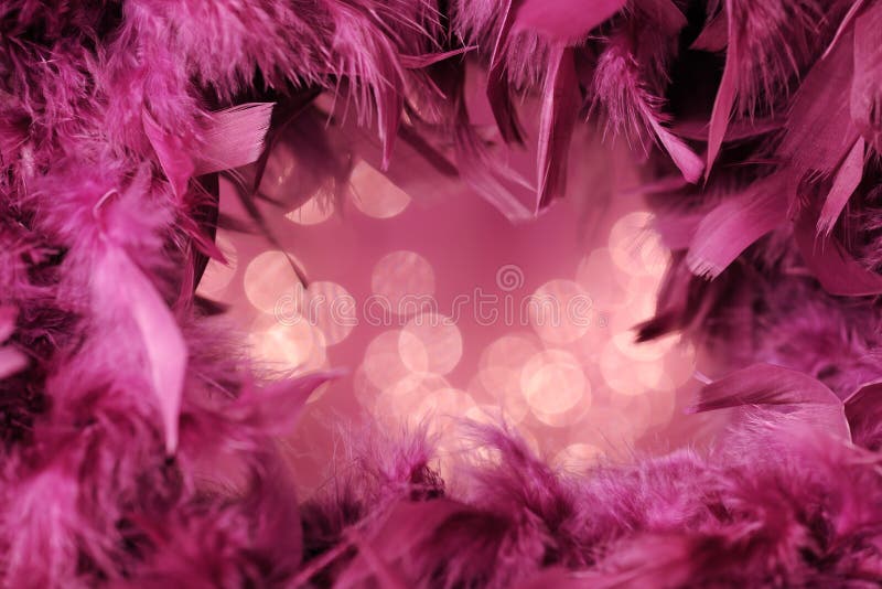 Feather frame stock image. Image of frame, abstract, decoration - 23487143