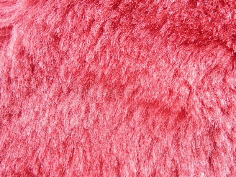 Fluffy stock photo. Image of fluffy, soft, cute - 72198430