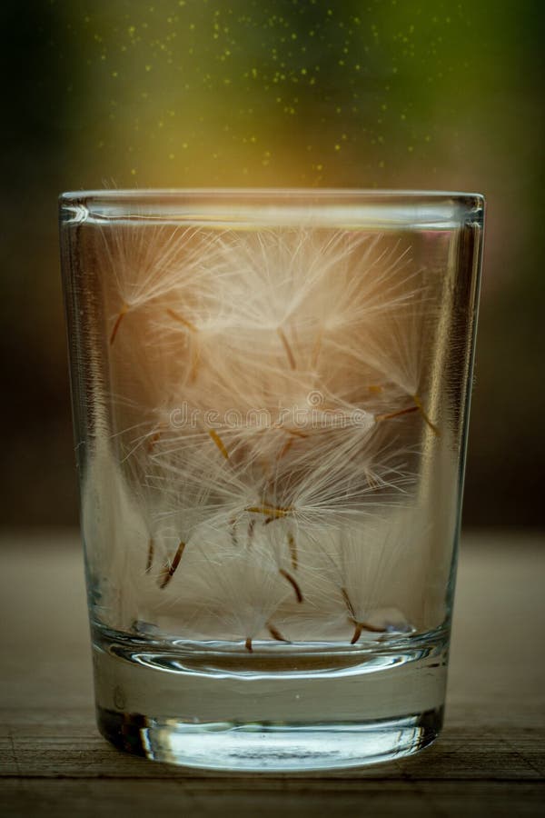 Fluffy Seeds in a Transparent Glass on a Blurred Background Stock Photo ...