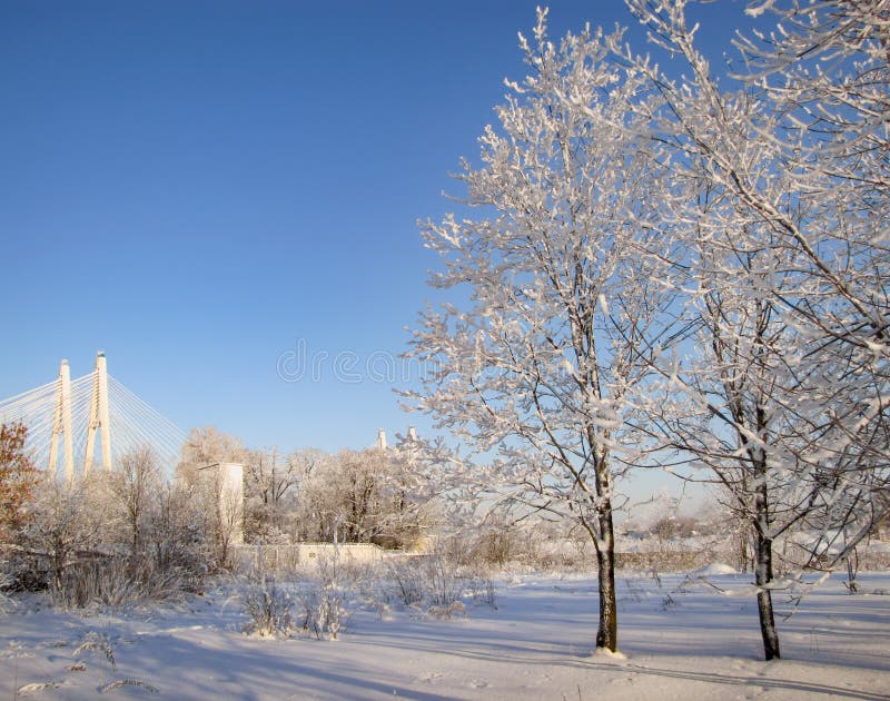 Fluffy snow stock image. Image of shadow, bridge, january - 80214115