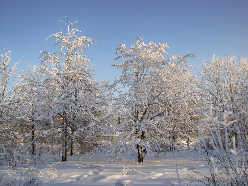 Fluffy snow stock photo. Image of bridge, landscape, snow - 80215802