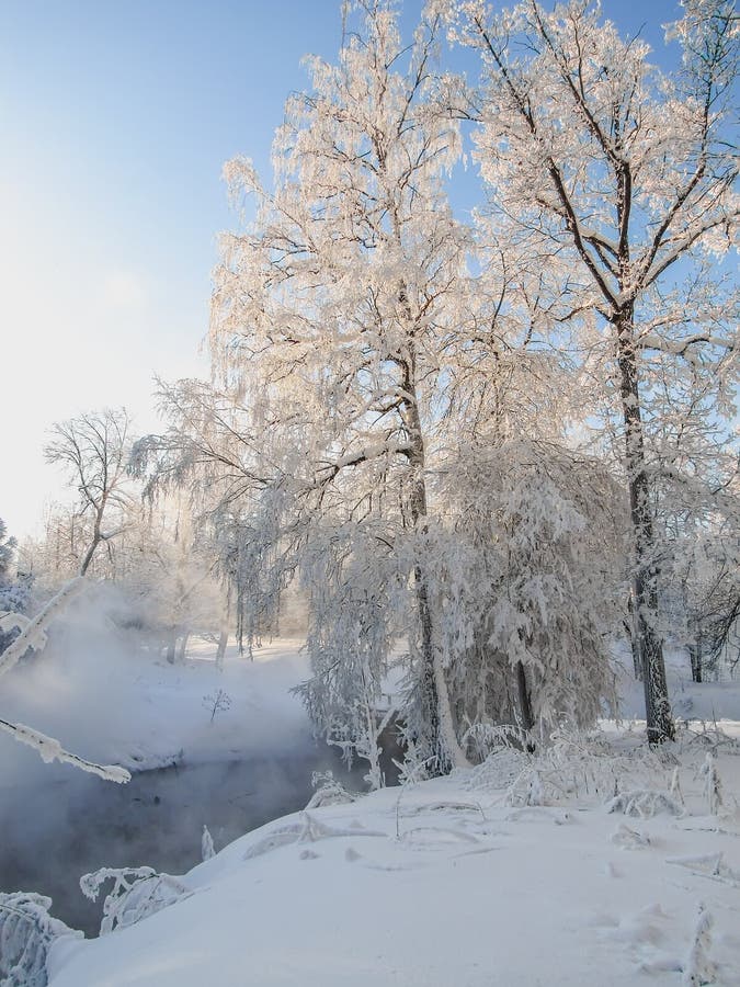 Fluffy snow stock photo. Image of fluffy, light, frost - 80447908