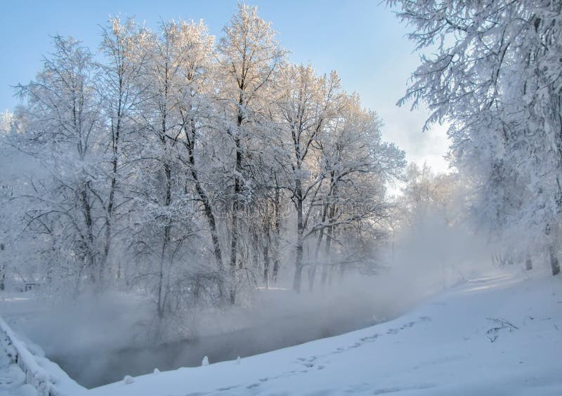 Fluffy snow stock photo. Image of frost, light, cold - 80491884