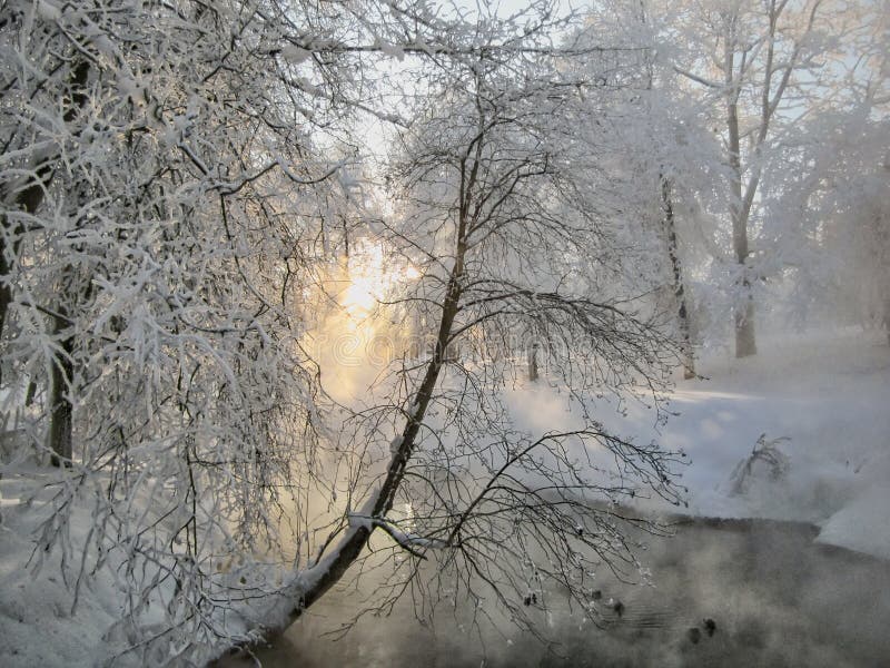 Fluffy snow stock photo. Image of snow, january, frost - 80492394