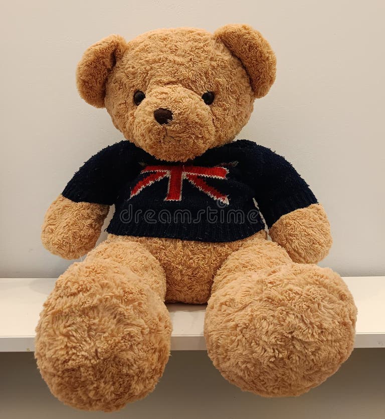 22,463 Fluffy Teddy Bear Stock Photos - Free & Royalty-Free Stock ...