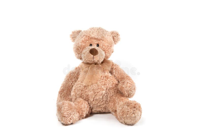 Fluffy teddy bear stock photo. Image of character, small - 40549590