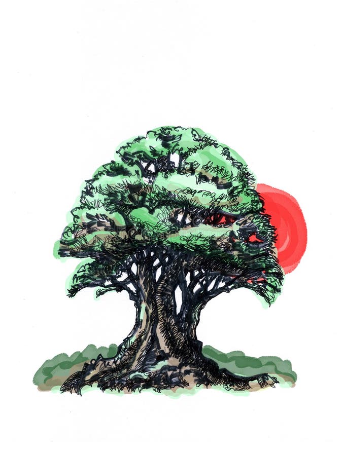 Fluffy Tree. Style of Bonsai. Stock Illustration - Illustration of ...
