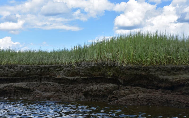 Fluffy White Clouds Over Marshland and Marsh Grass Stock Image - Image ...