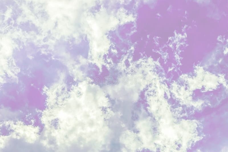 Fluffy White Clouds on a Pink Background Float in the Sky. Stock Photo ...