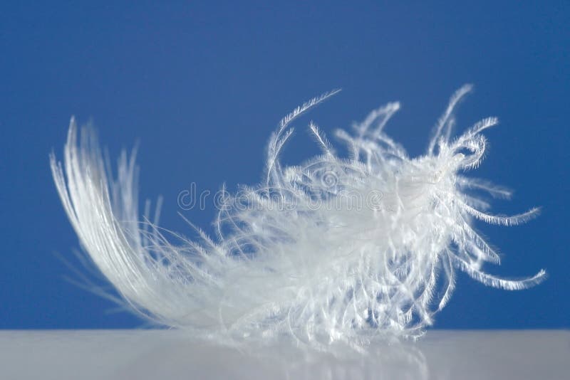 Feather 2 stock photo. Image of hope, close, avian, concept - 2050296