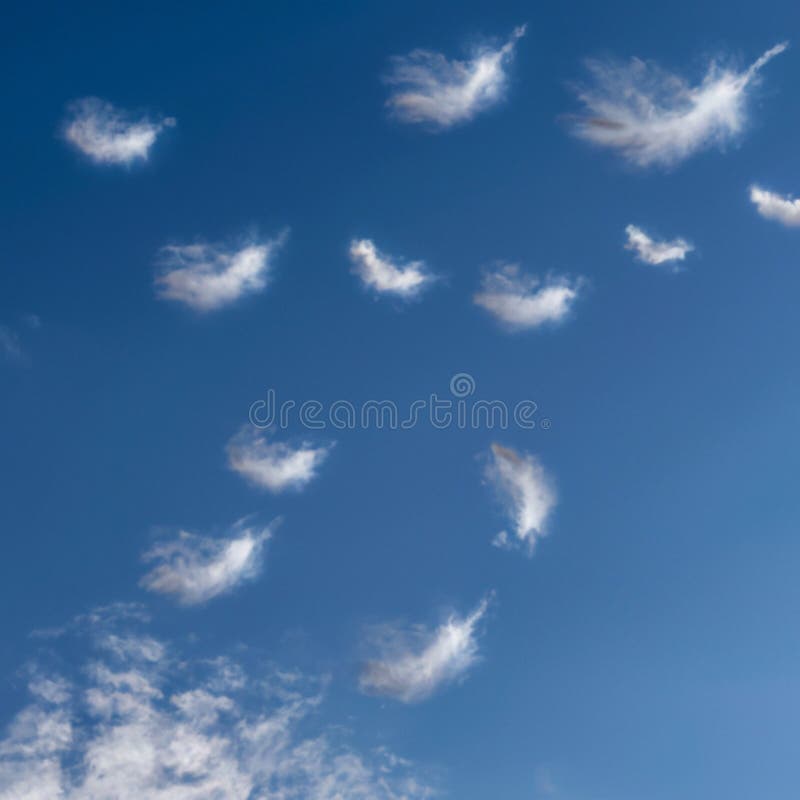 Lightly Soft Fluffy White Feathers Stock Illustrations – 113 Lightly ...