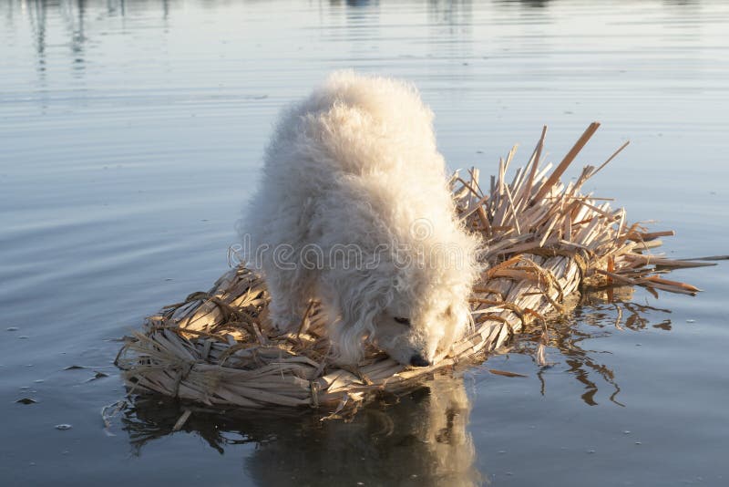 Czuber - Photographer profile