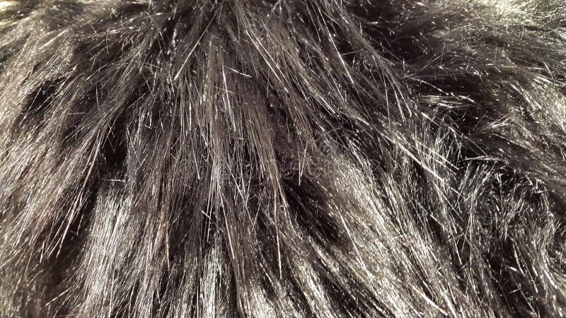 Fluffy wool. Hair surface stock image. Image of effect - 206248881