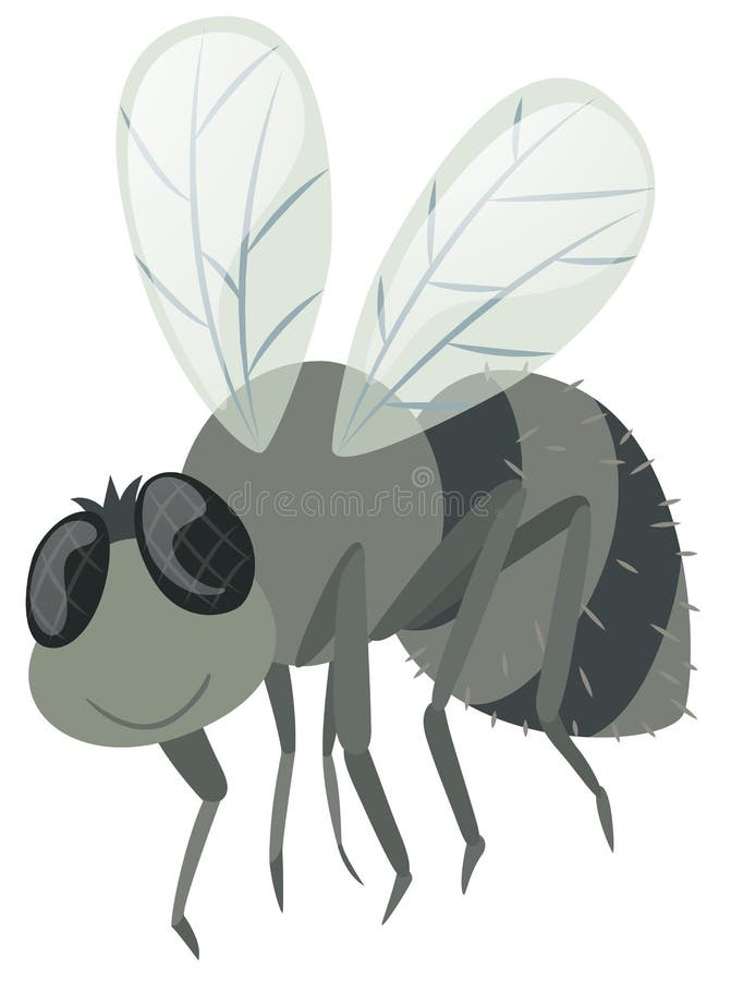 Fluga Stock Illustrationer, Vektorer, & Clipart – (77,882 Stock ...