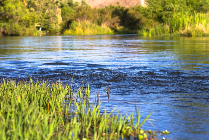 Flujo del río imagen de archivo. Imagen de california - 41338755