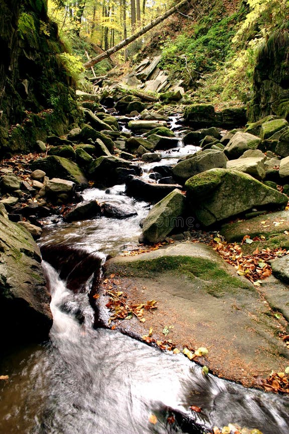 Flume stock photo. Image of flume, water, nature, green - 1420428