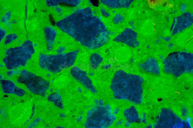 187 Microscope Concrete Stock Photos - Free & Royalty-Free Stock Photos ...