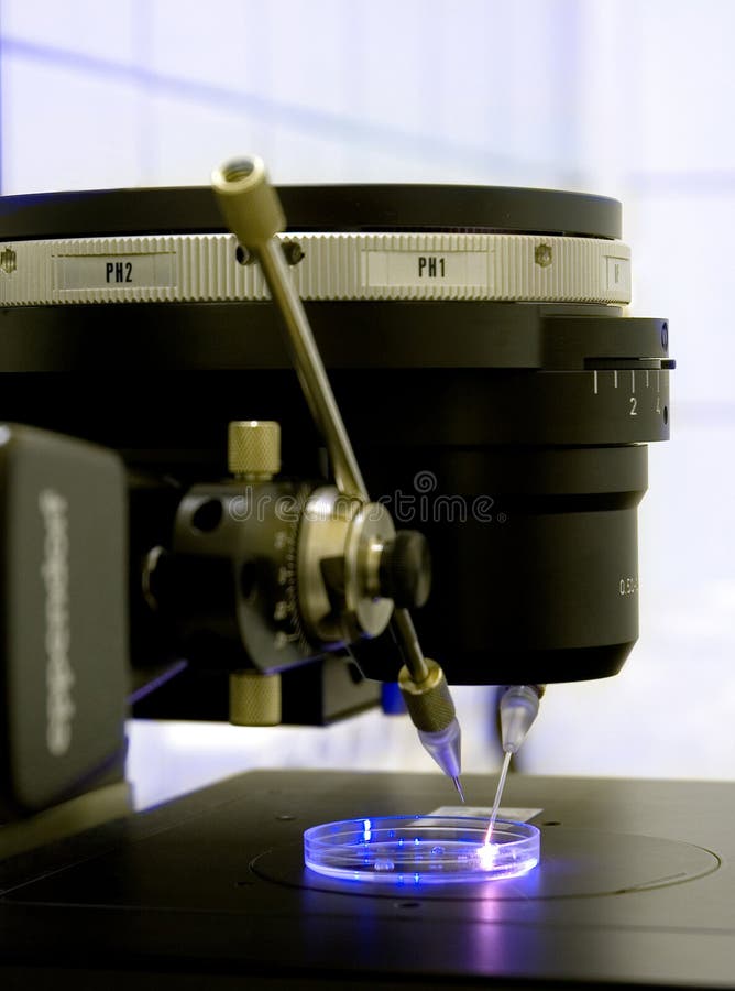 Fluorescence microscopy stock photo. Image of healthcare - 15429348