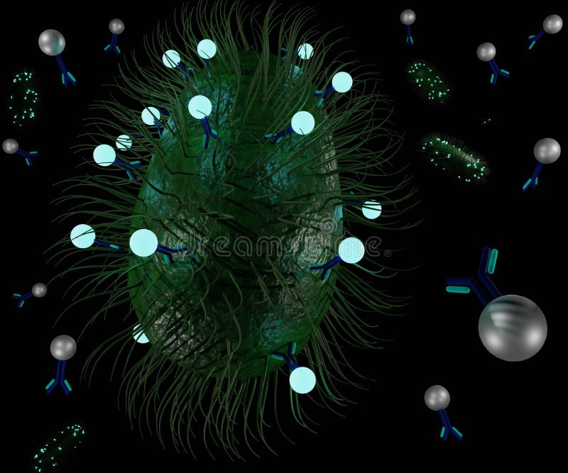 Fluorescent Based Quantum Dot Immunoassay Nanosensors on Pathogenic ...