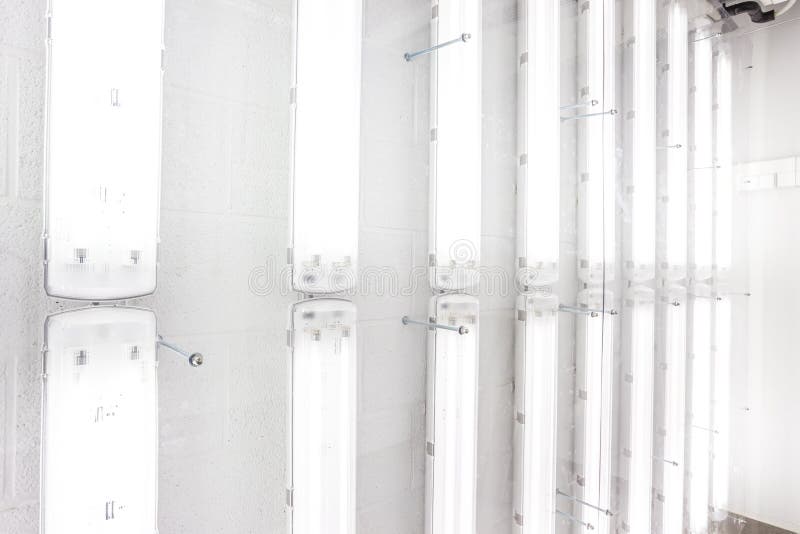 The fluorescent lamps stock photo. Image of fluorescent - 72366200