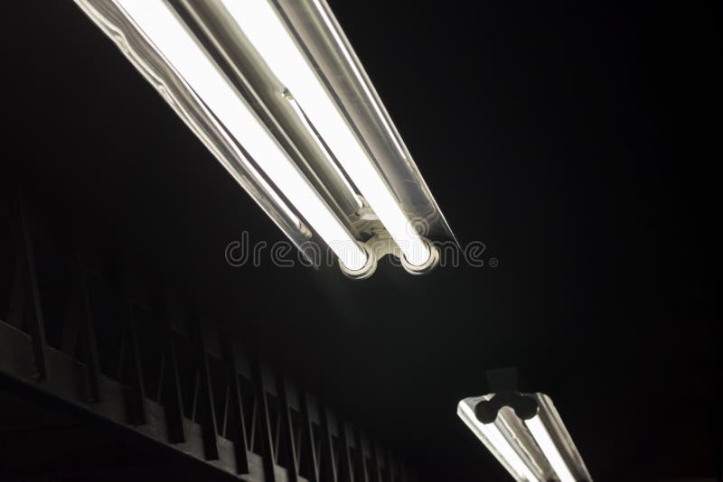 Fluorescent Lamps Lighted Fixed To Ceiling Stock Photo - Image of ...