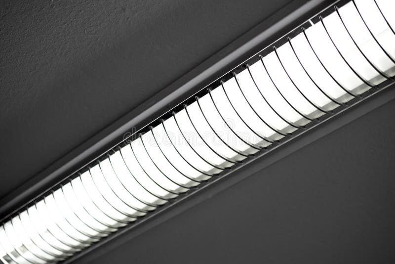 Fluorescent Lamps on the Whitewashed Ceiling of the Office Space. a ...