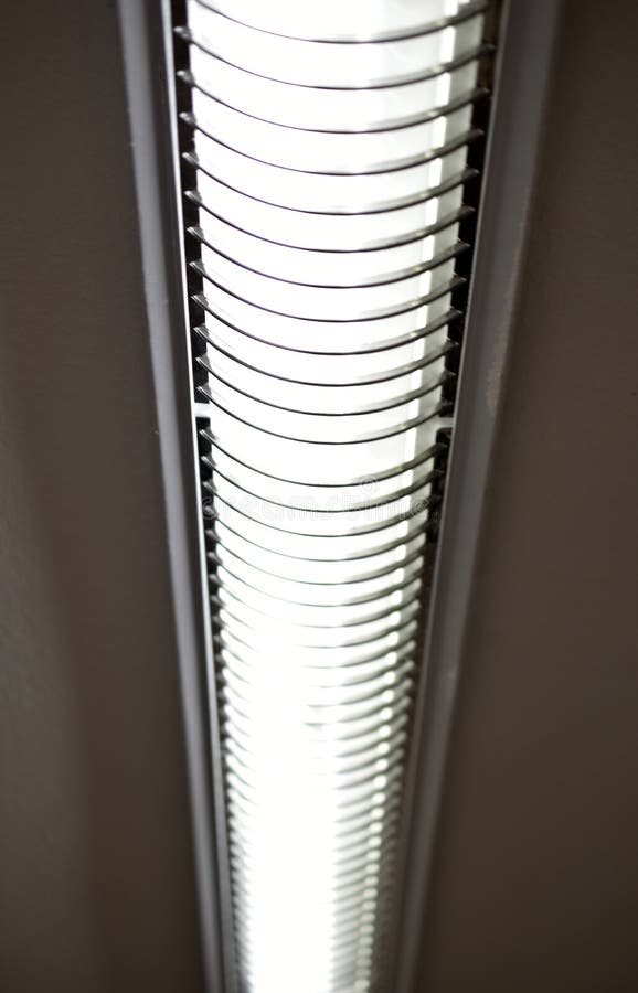Fluorescent Lamps on the Whitewashed Ceiling of the Office Space. a ...