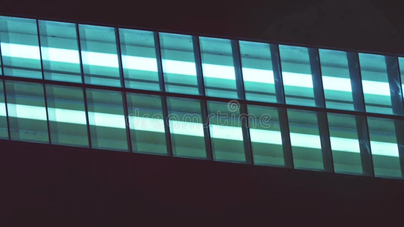 Fluorescent Neon Light Lamp Tube Flickering when Switching on Stock ...