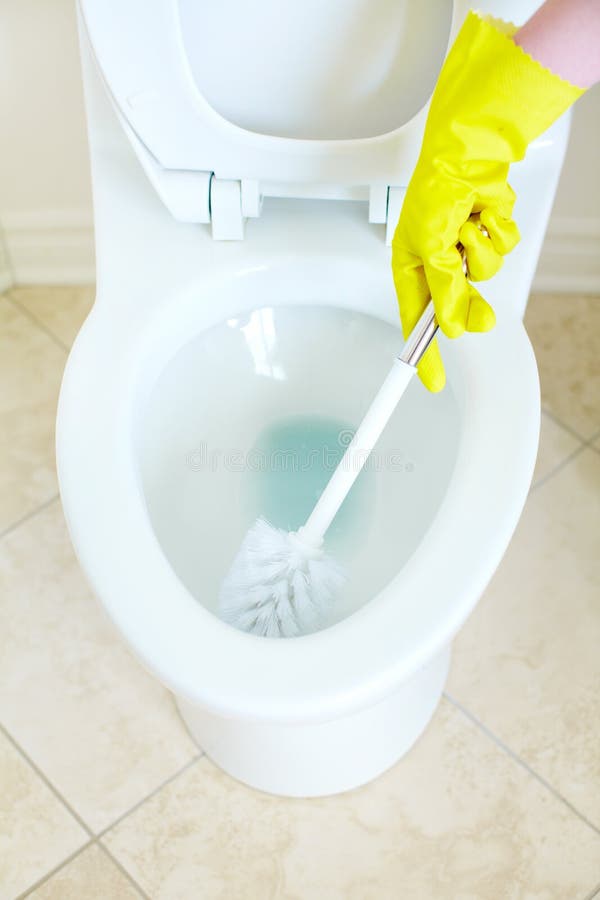 Flush toilet. Cleaning stock photo. Image of hygiene - 13306602