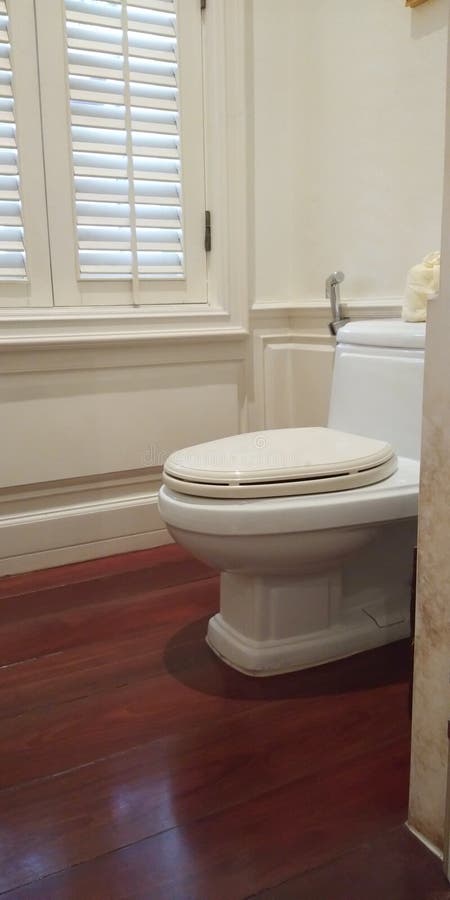 Flush Toilet in Toilet Room Stock Image - Image of tile, toilet: 134778695