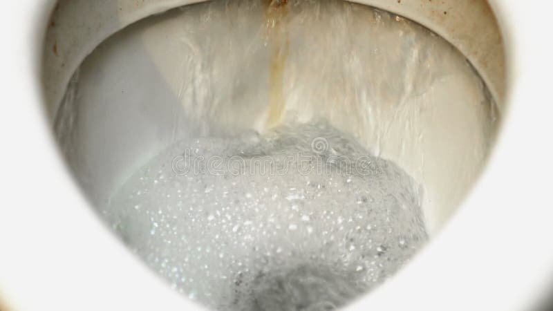 Flushing the Toilet in the Bathroom Close-up Stock Footage - Video of ...