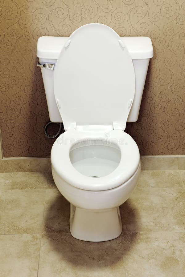 A Modern, White, Flushing, Water Conserving Toilet. Stock Photo - Image ...