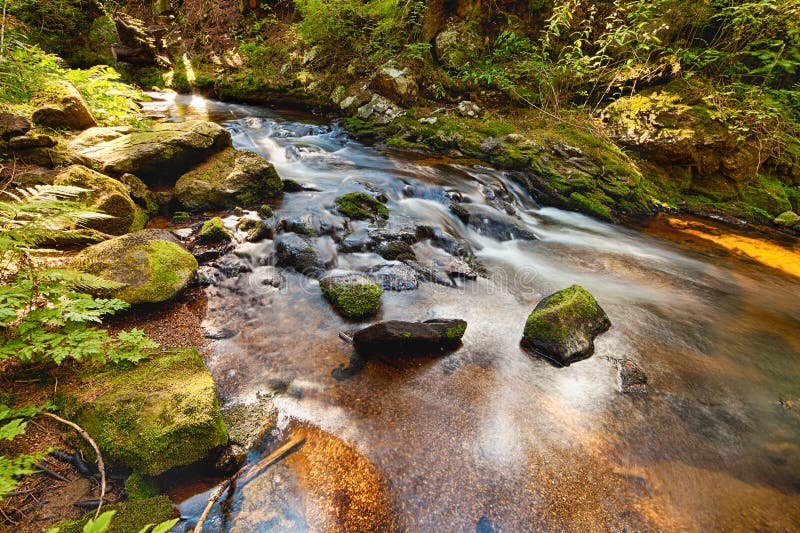 Fluss im Wald - HDR stockfoto. Bild von landschaft, umgebung - 33635716