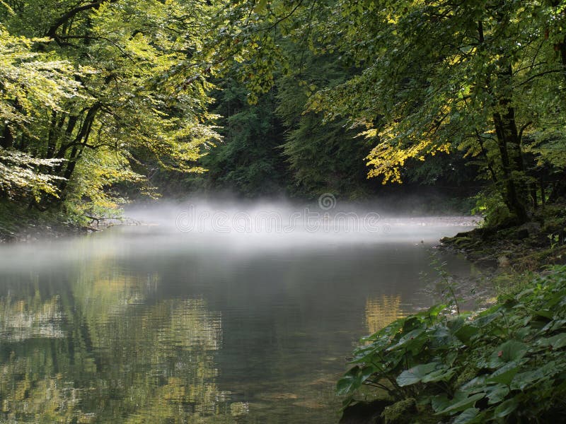 Die Quelle Des Flusses Kupa Im Wald Stockbild - Bild von schön, wald ...