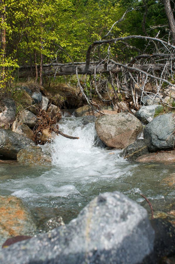 Fluss Unter Stein in Den Talbergen Stockbild - Bild von sauber, stein ...