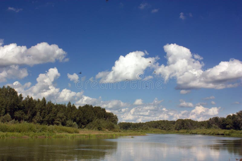Fluss Ural stockbild. Bild von holz, strand, wolke, wasser - 5682631