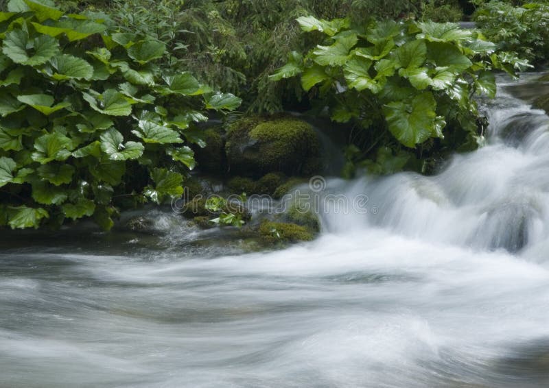 Ruscello fotografia stock. Immagine di flusso, gocce, nave - 2133790