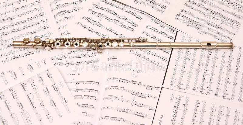 Flute stock photo. Image of rehearsal, flute, flutes, musician - 7154110