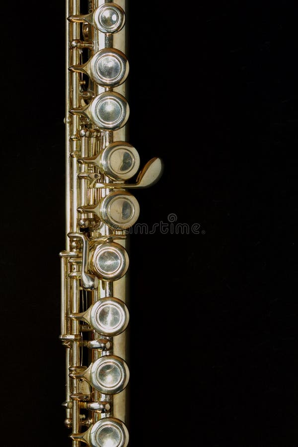 Flute diagonal view stock image. Image of musician, arts - 6007