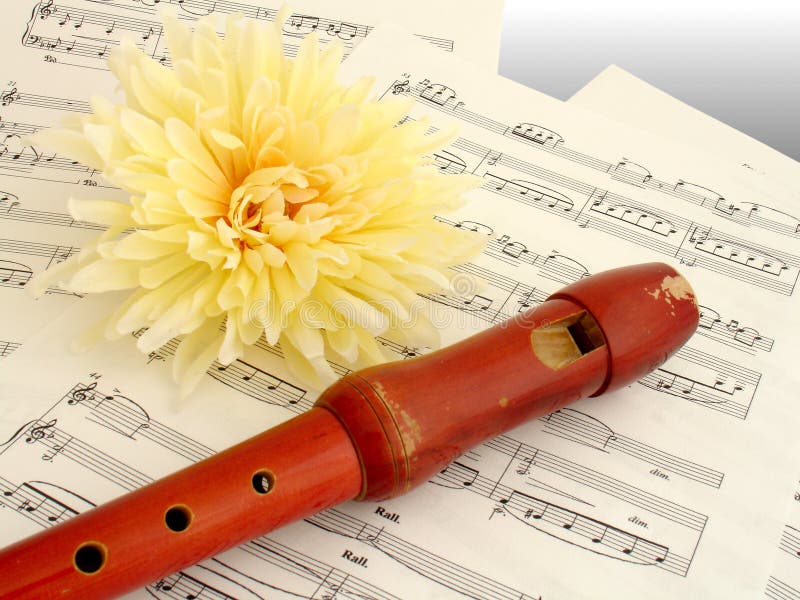 Flute flower in the pond stock photo. Image of plants - 145022336