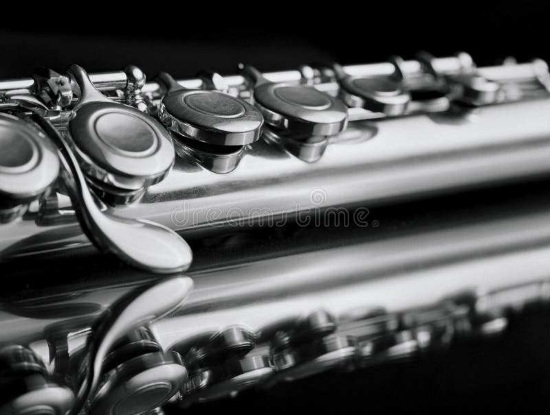 Flute stock image. Image of sound, silver, musical, detail - 9499717