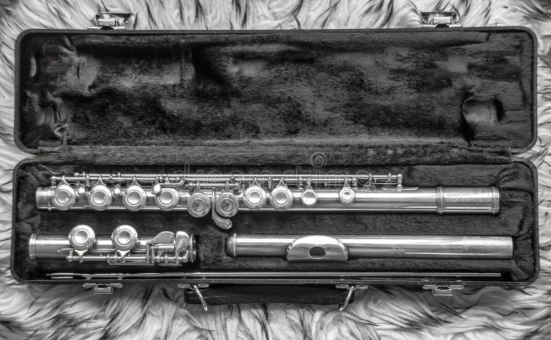 Flute instrument stock image. Image of instrument, flute - 131101379